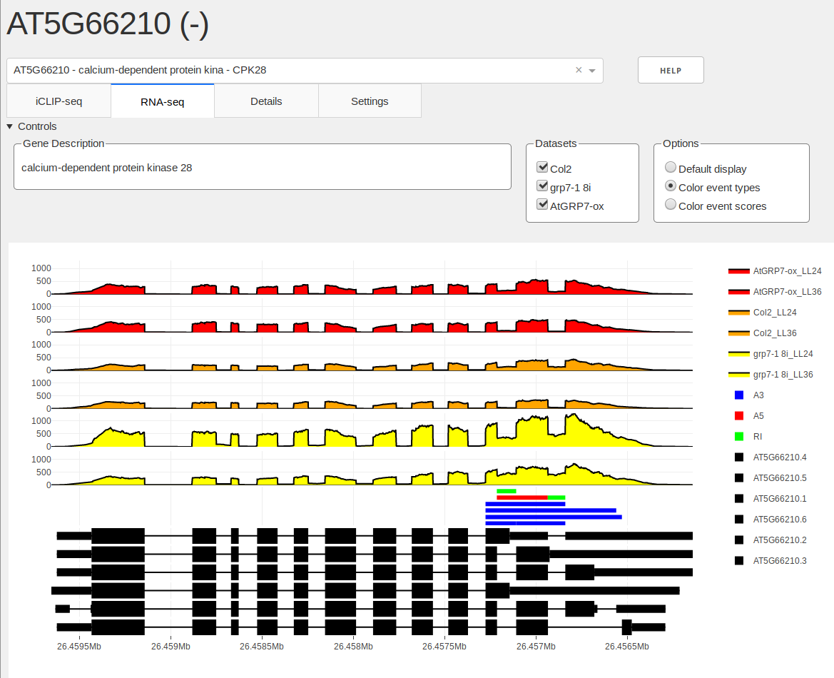SEQing | SEQing: interactive web-based tool for visualization of iCLIP and RNA-seq data.
